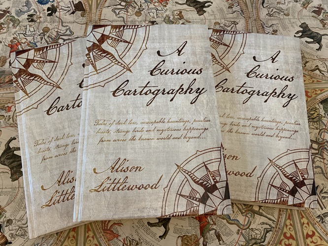 A Curious Cartography in Review – Alison Littlewood